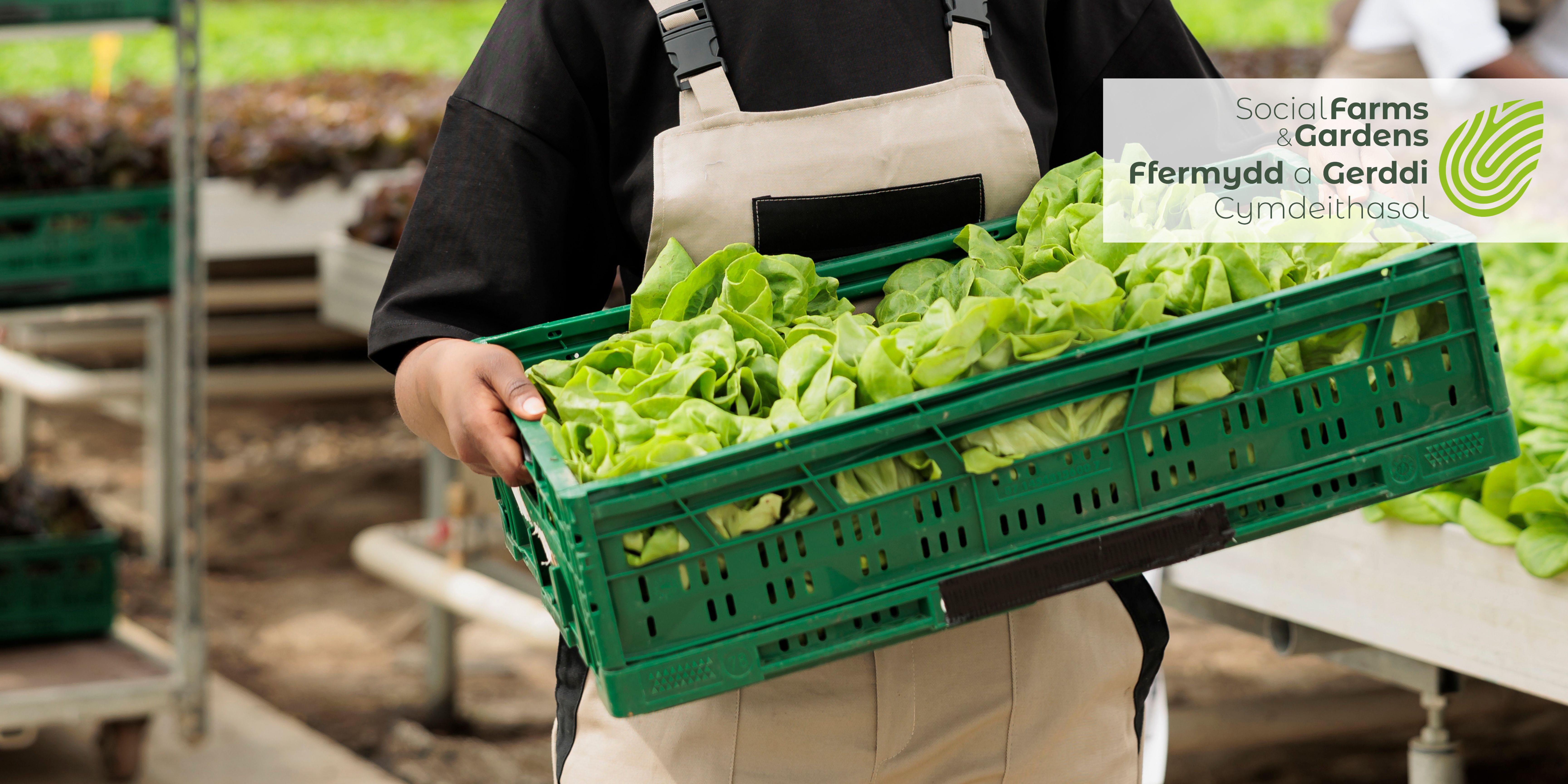 Wales | Social Farms & Gardens